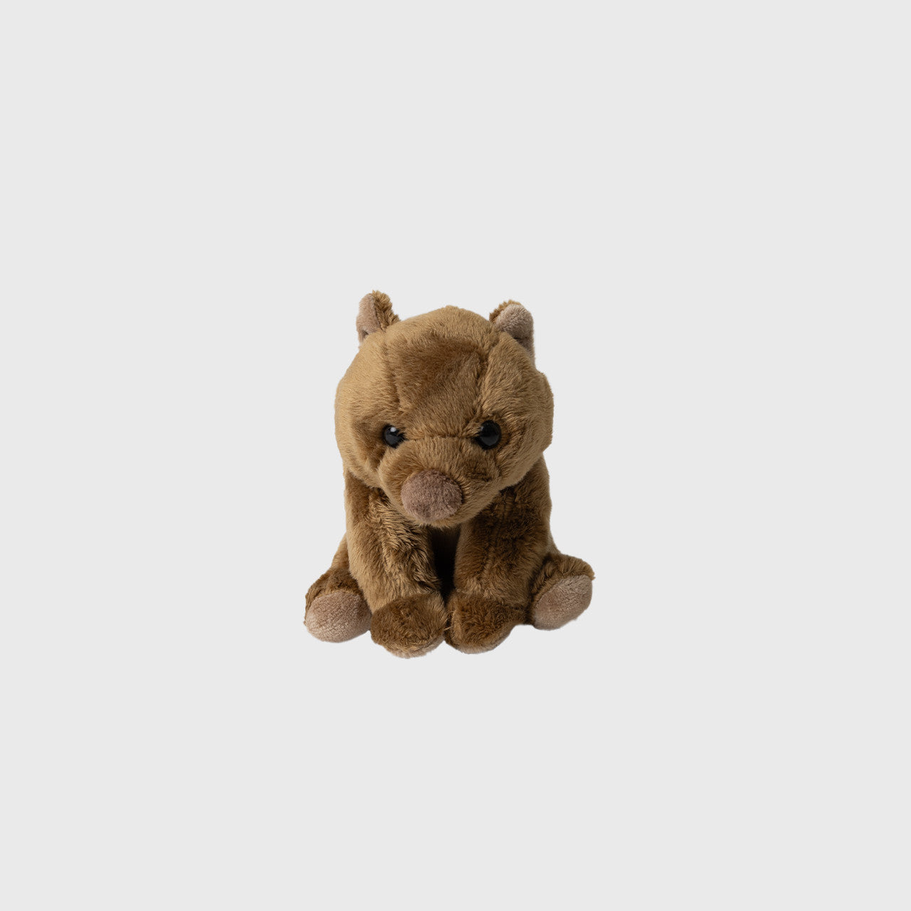 Australia Zoo Pocketkins Eco Plush - Wombat – Australia Zoo Operations ...
